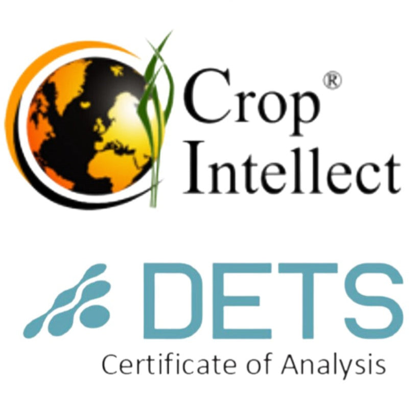 StaySafe All-in-1 Fire Extinguisher – LifeSafe Technologies